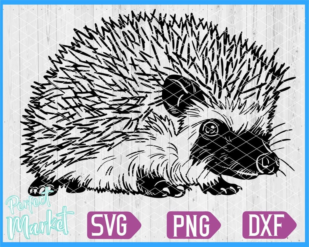 Hedgehog Svg,hedgehog Face Svg,hedgehog Print for Shirt,hedgehog Cut ...