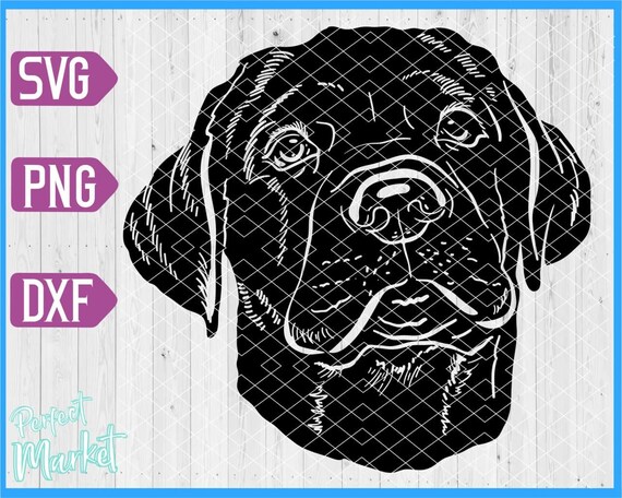 Labrador Face Svgdog Svg Cricut Black Labrador Headlabrador - Etsy