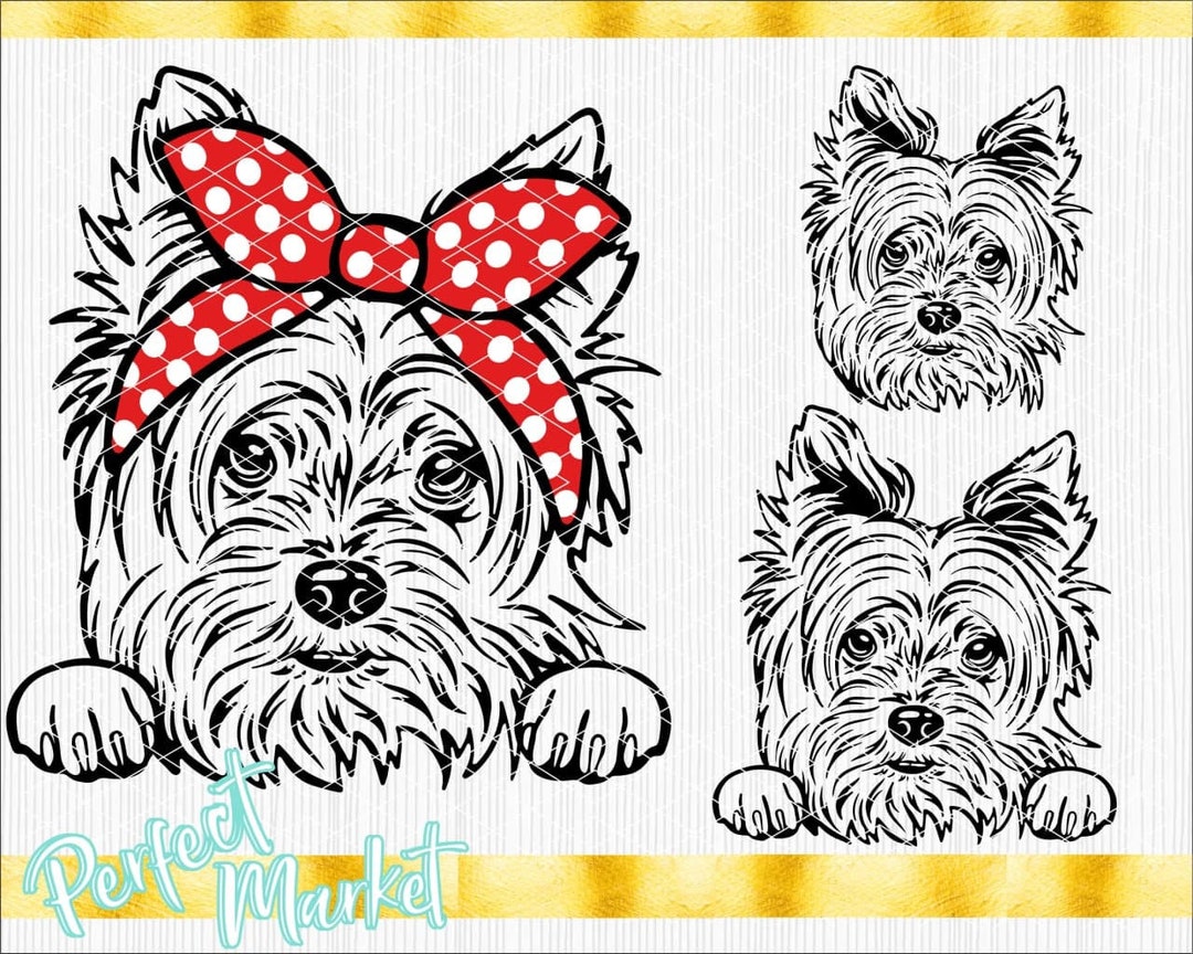 Yorkshire Terrier SVG, Yorkshire Terrier Print Shirt, Yorkshire Dog Svg ...