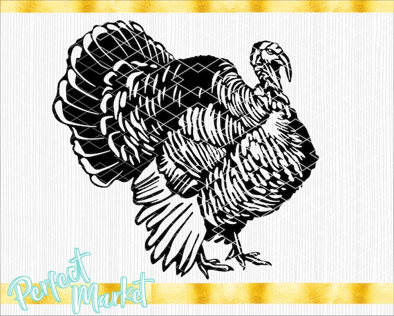 Turkey Svgturkey Vectorturkey Cricutturkey Svg Filesturkey - Etsy