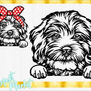 Cockapoo Dog SVG Cricut,cute Puppy Clipart,cockapoo Dog Clipart ...