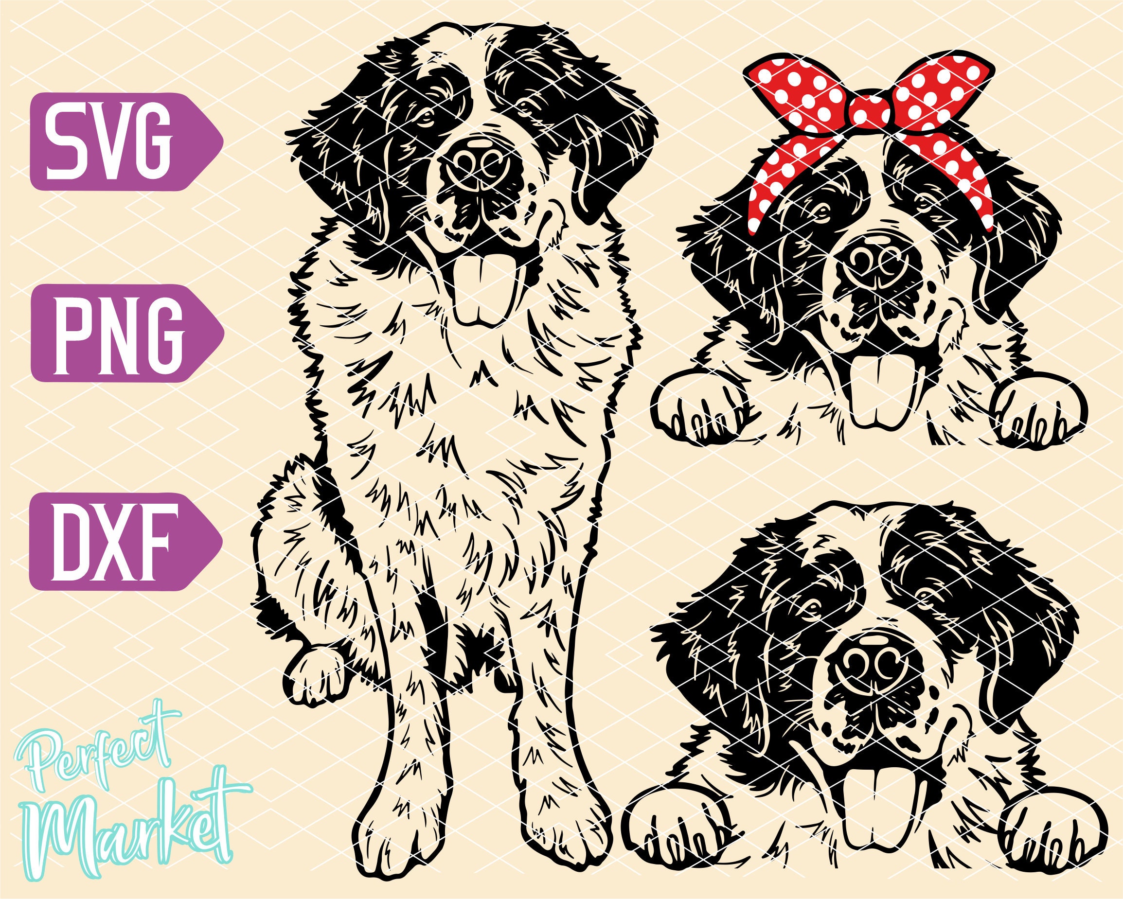 Saint Bernard Dog Svgsaint Bernard Face Svgsaint Bernard | Etsy