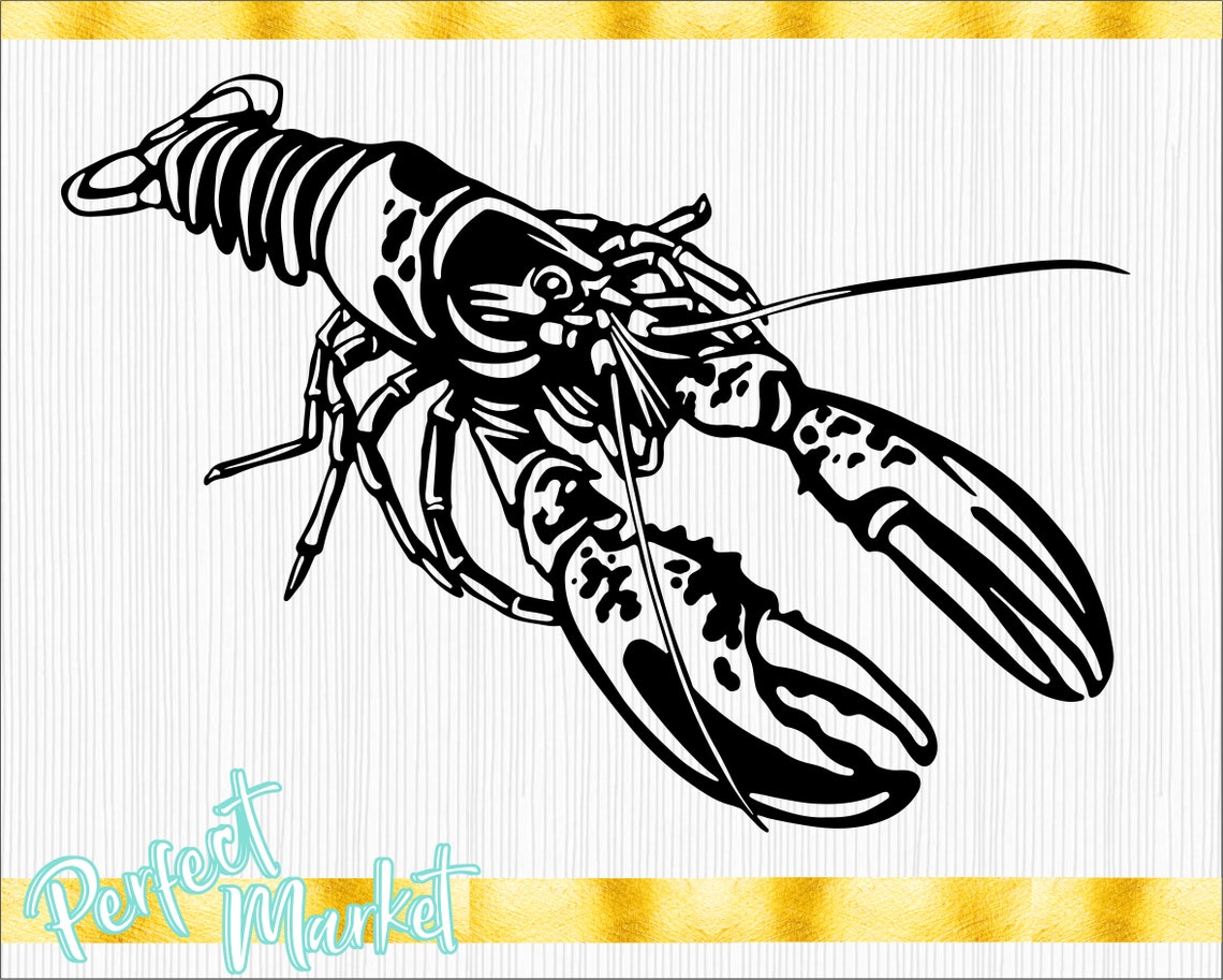Lobster SVG Files for Cricutrealistic Detalized | Etsy