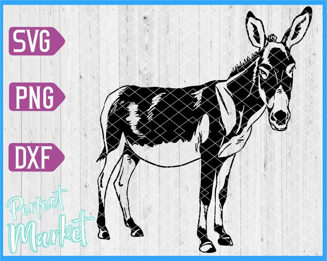 Burro Svg, Burro divertido Svg, Burro png, Corte láser de burro, Camisa ...