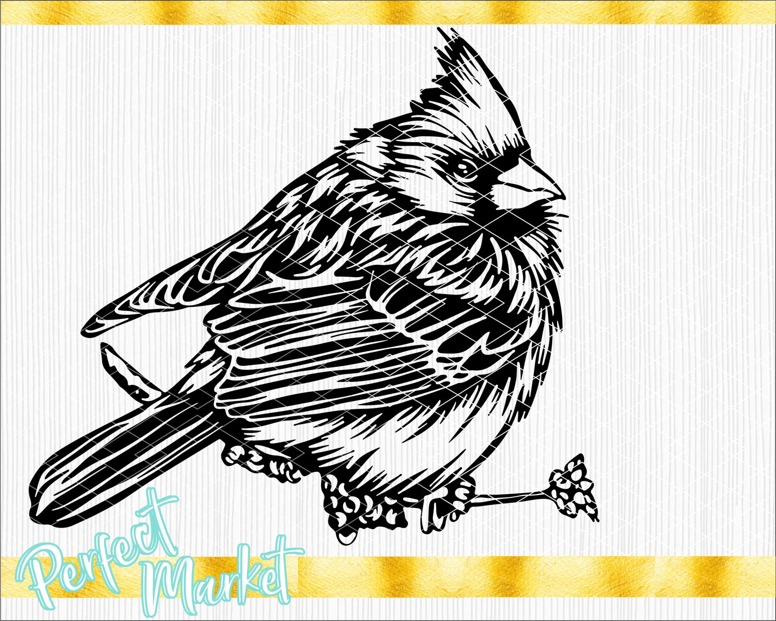 Cardinal Svg Cardinal Bird Svgbird Svg Cardinal Layered - Etsy