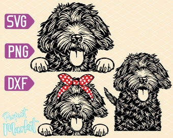 Cockapoo Dog SVG Cricut,cute Puppy Clipart,cockapoo Dog Shirt,dog Svg ...
