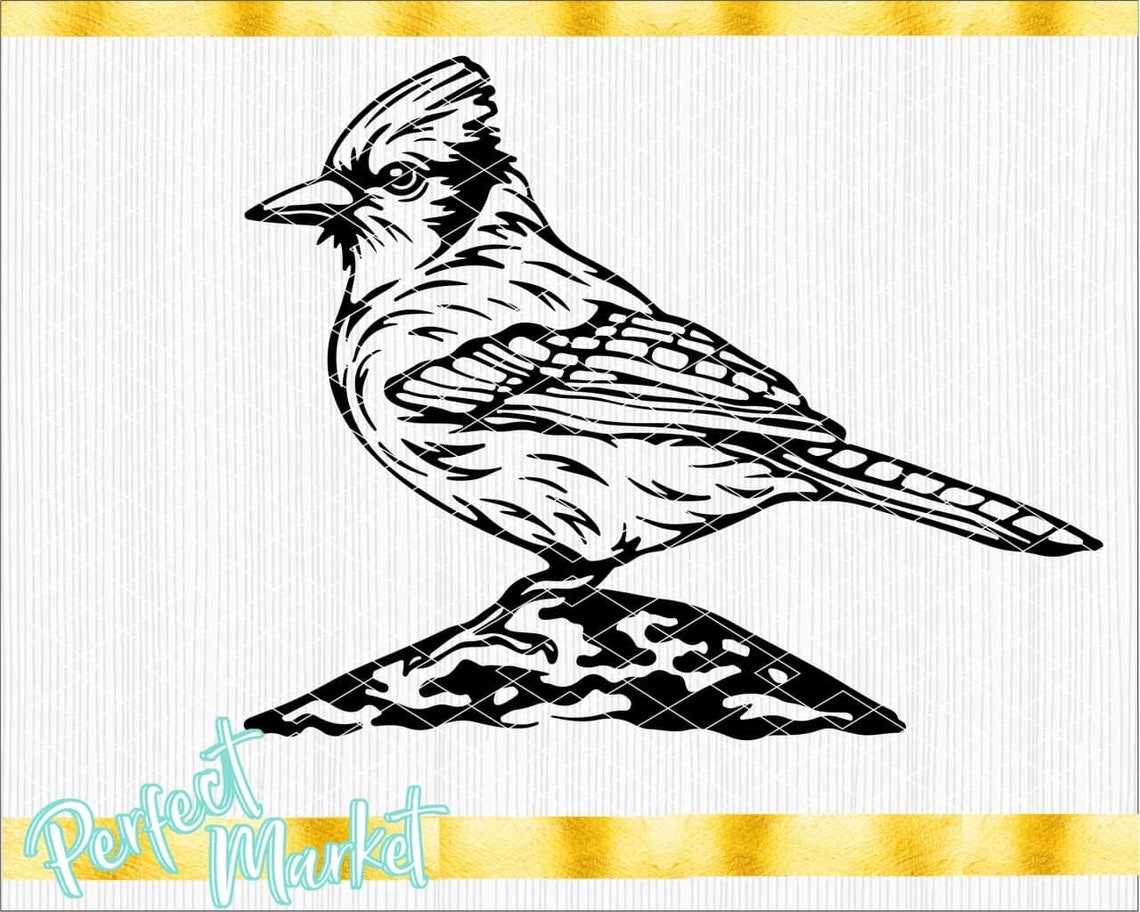 Blue Jay Bird Svg Files for Cricutblue Jay Bird Svgblue Jay - Etsy
