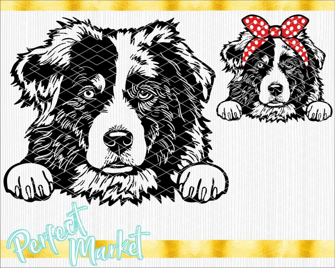 Australian Shepherd Svg,mini Aussie Face Clipart,dog Vector,australian ...