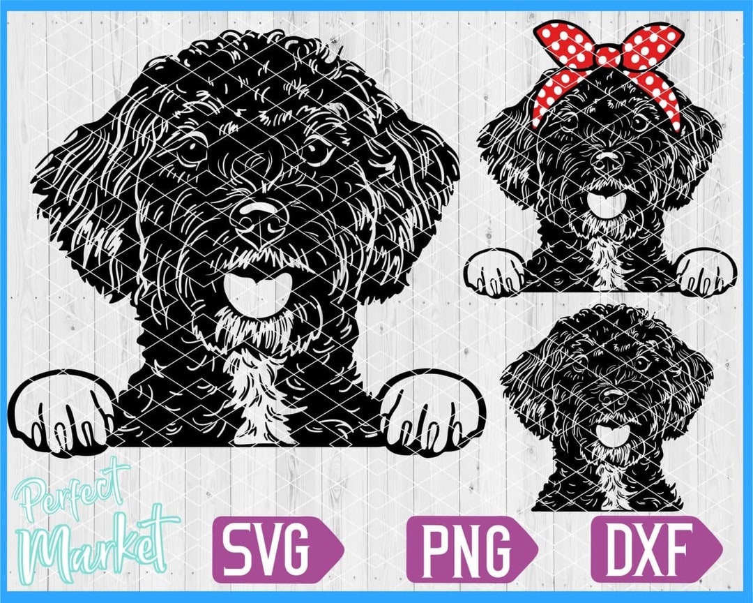 Schnoodle Dog Svg,schnoodle Dog Cricut,schnoodle Dog Clipart,schnoodle ...