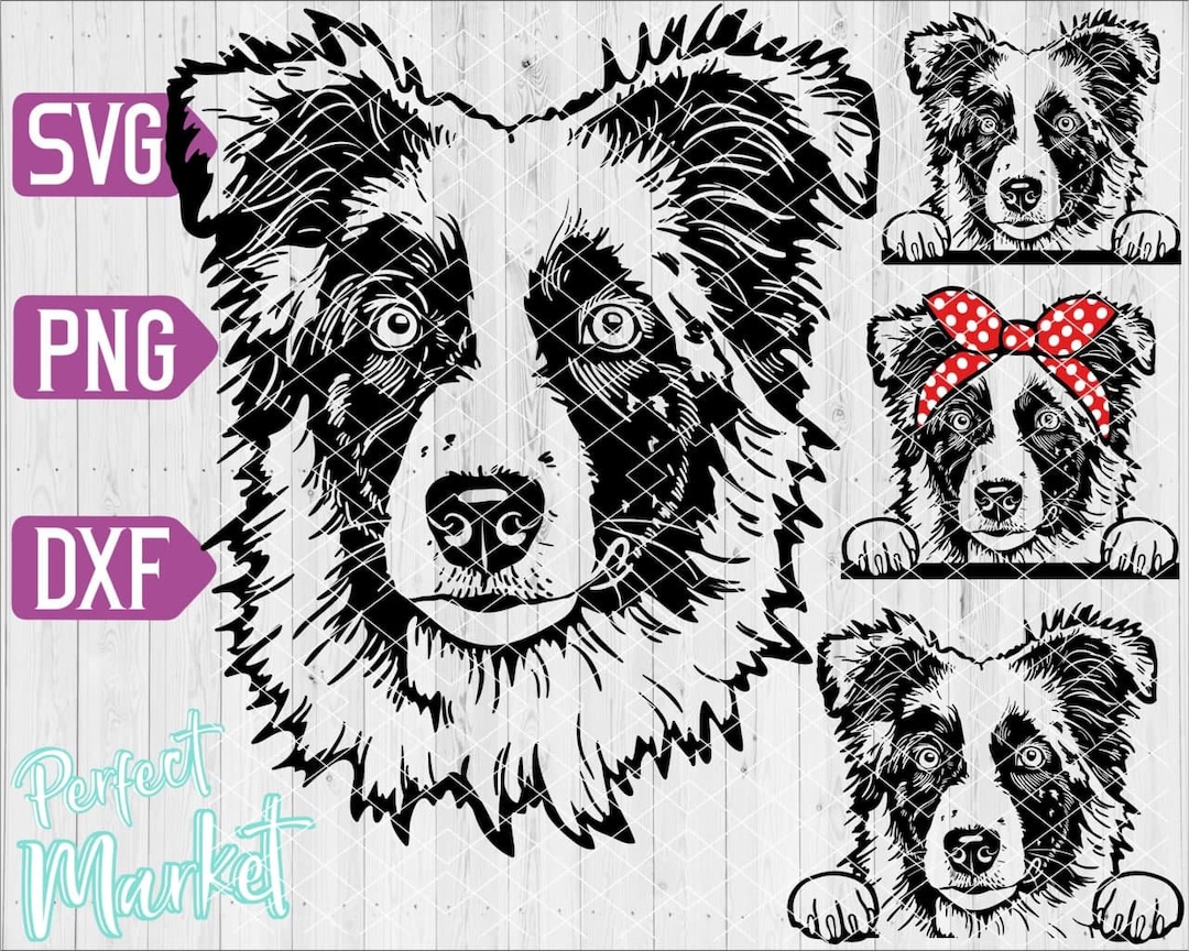 Australian Shepherd Svg,dog Vector,australian Shepherd,mini Aussie Face ...