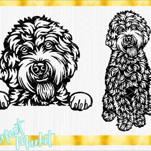 Labradoodle Svg,labradoodle Cut Files,dog Svg Cricut, Cute Face ...