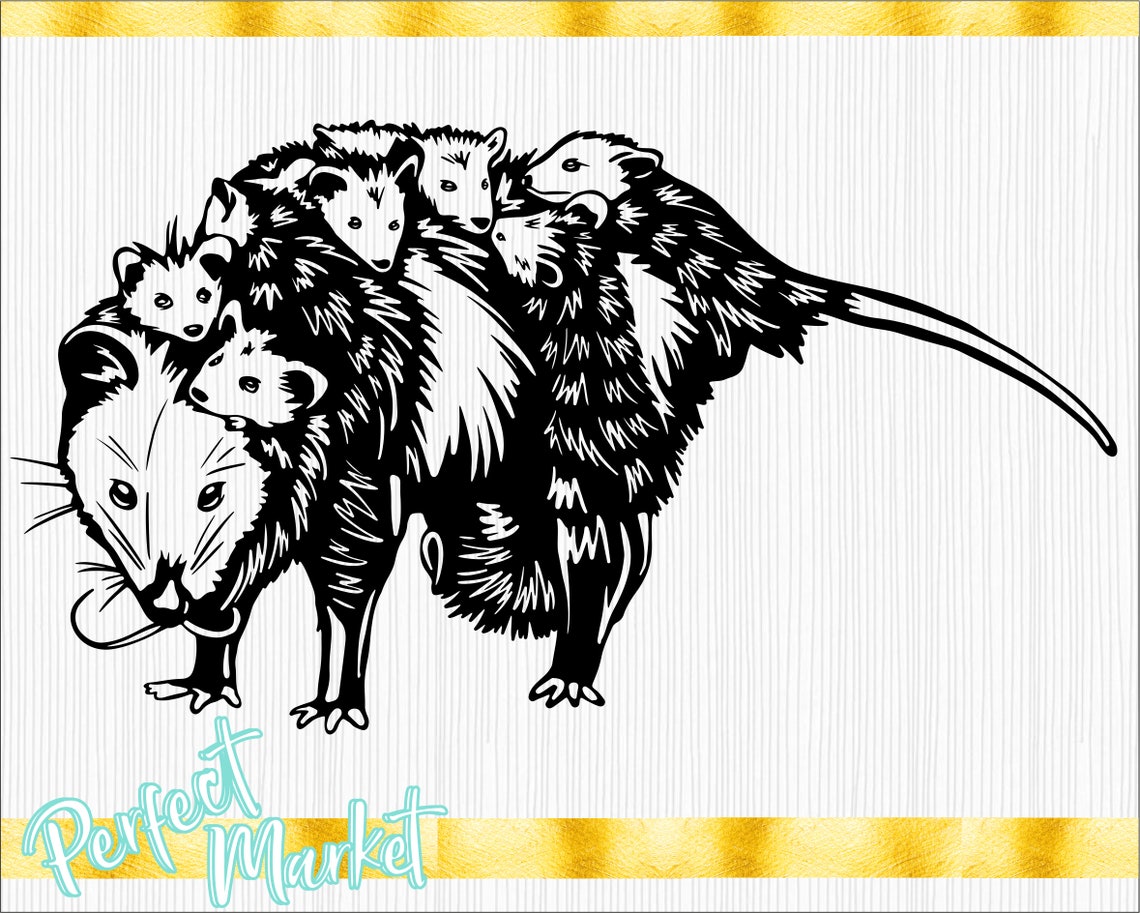 Opossum Pngopossum Clipartopossum Downloadopossum Print - Etsy