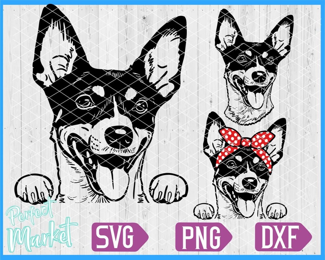 Rat Terrier Svg,dog Svg Files Cricut, Cute Pet Face Clipart, Animal ...
