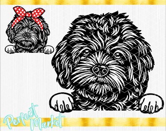 Cockapoo Dog SVG Cricut,cute Puppy Clipart,cockapoo Dog Shirt,dog Svg ...