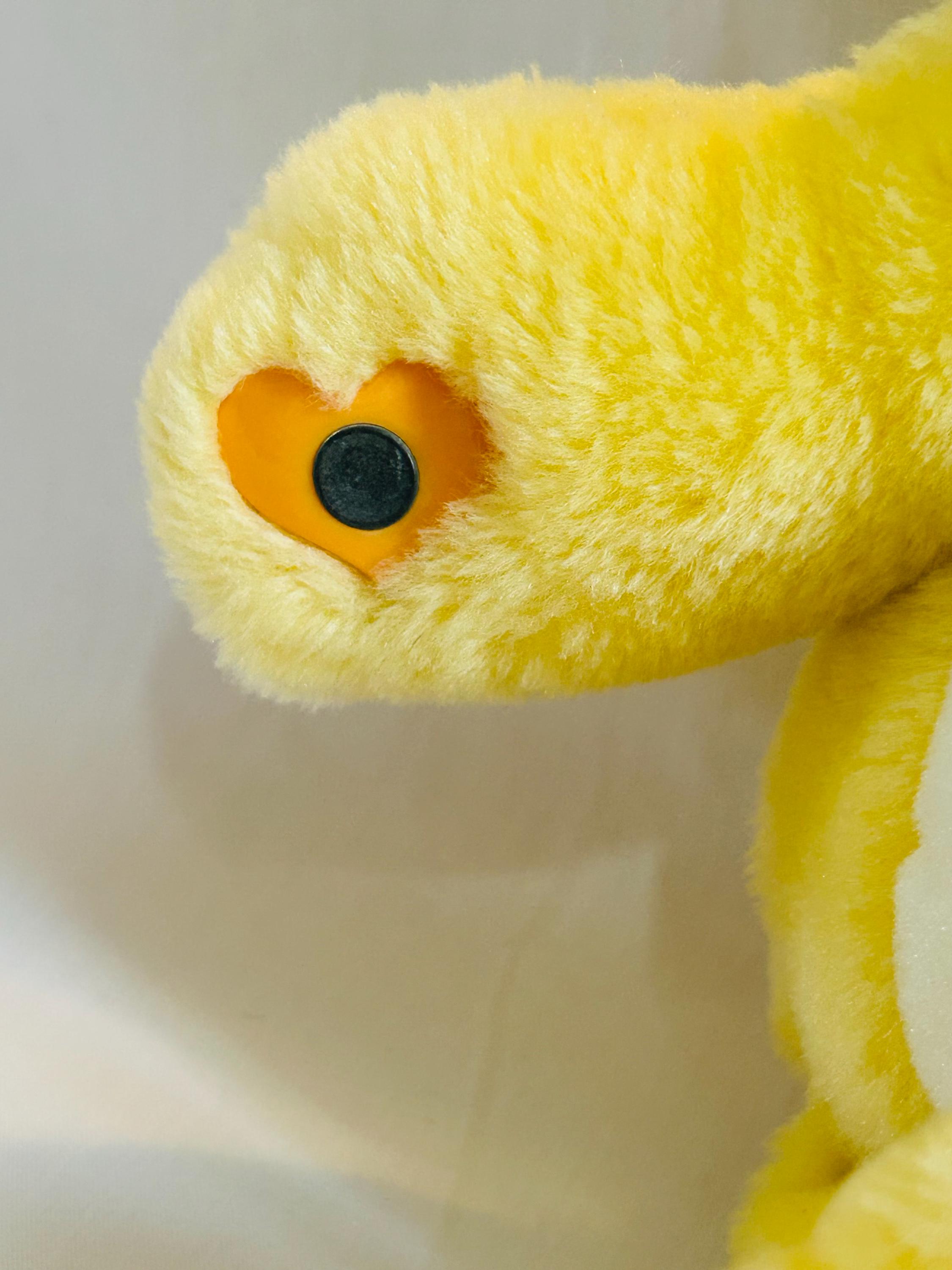 Rare Vintage Funshine Sing A Long Carebear - Etsy