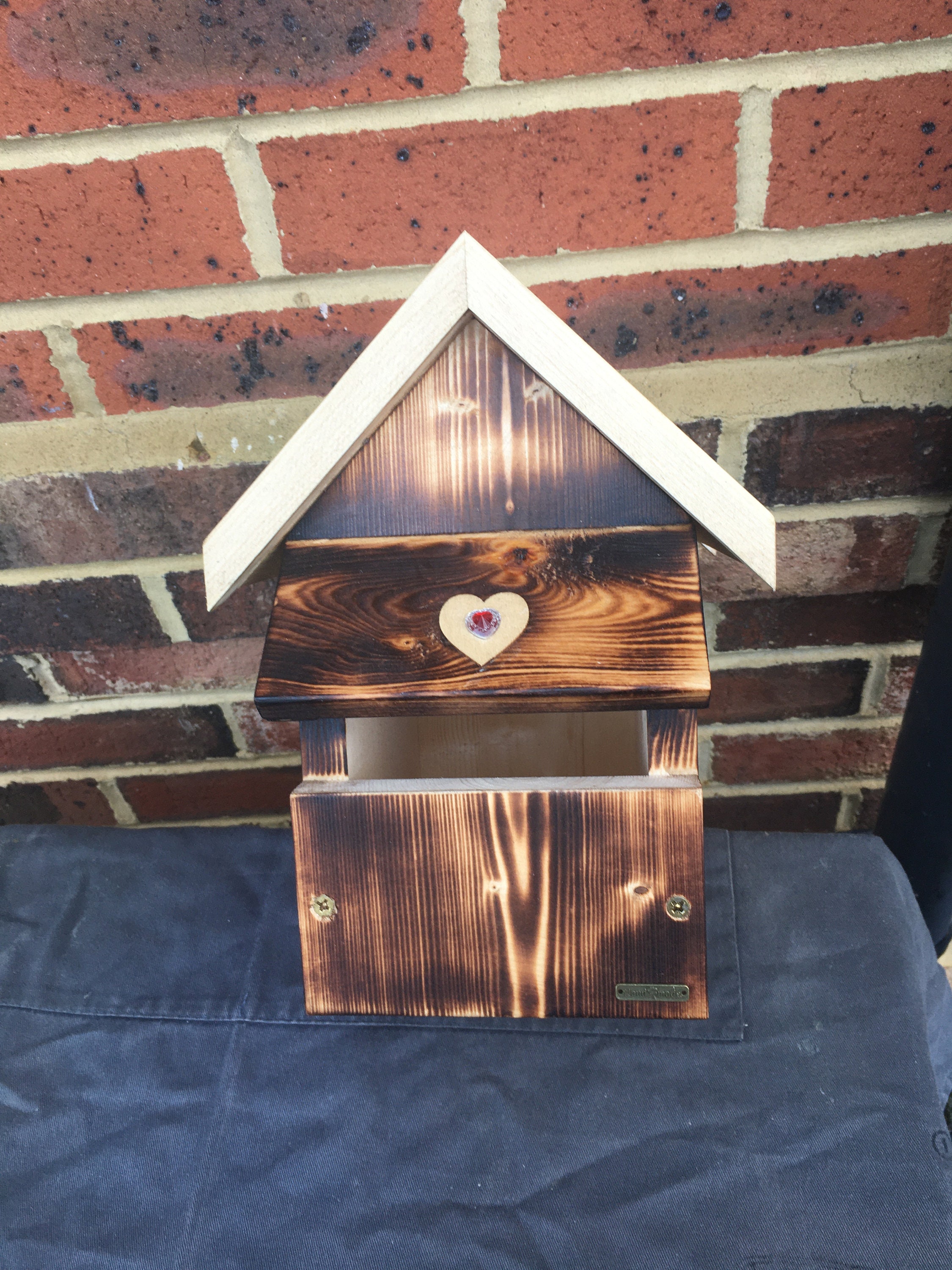 Do Robins Nest In Boxes