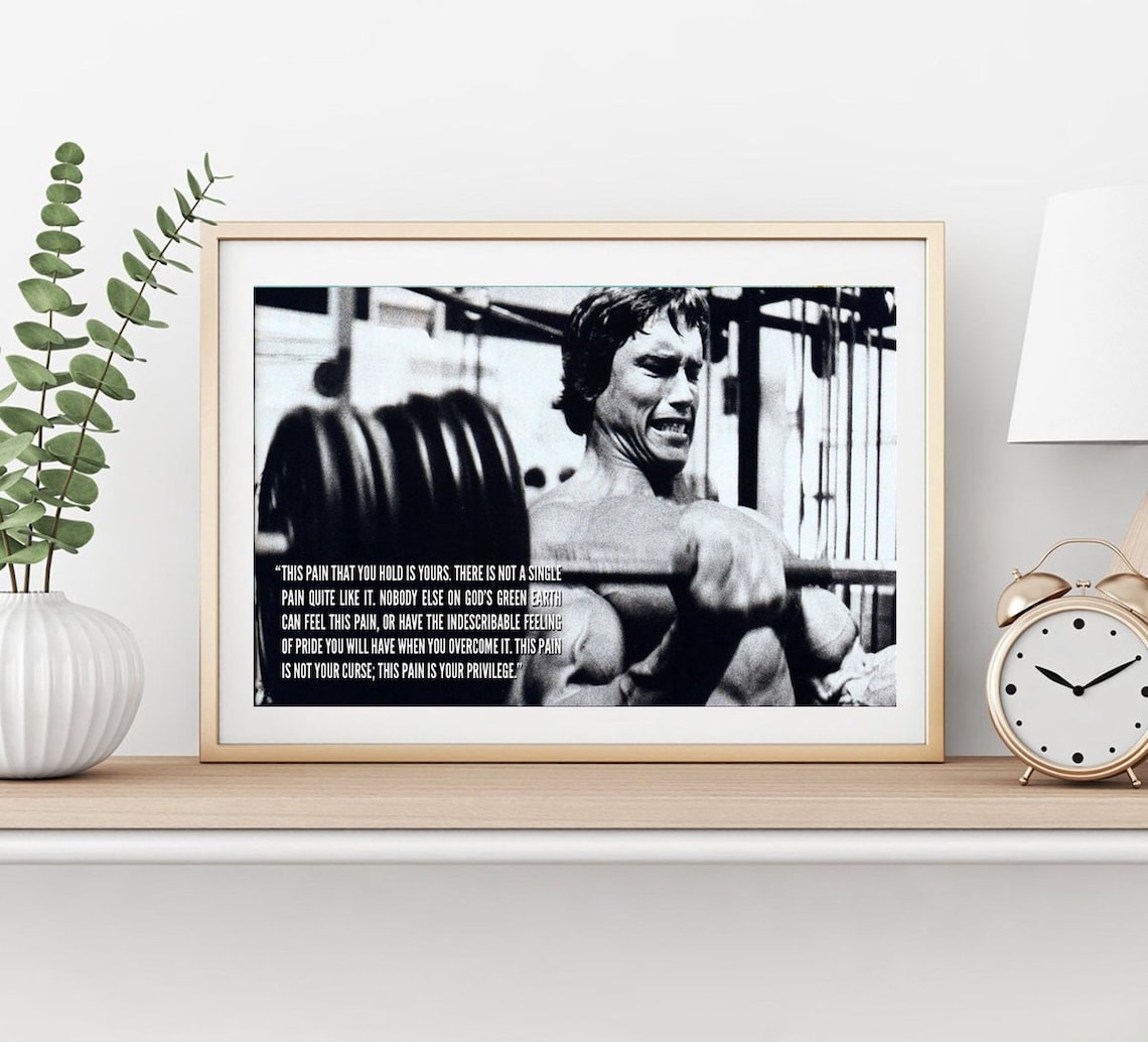 Arnold Schwarzenegger Poster, HD Wall Art Canvas Painting for Home ...