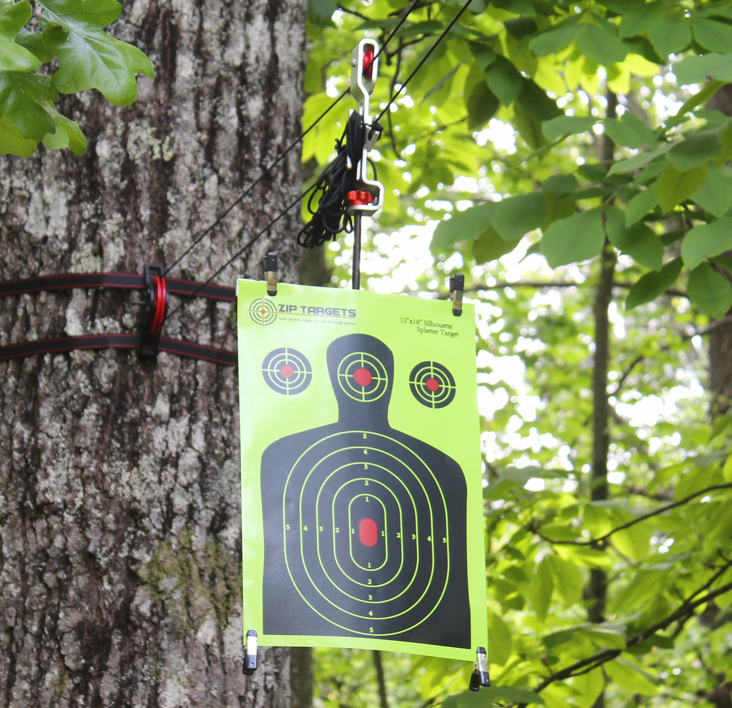 50 Pack Assortment of Shooting Targets - Etsy