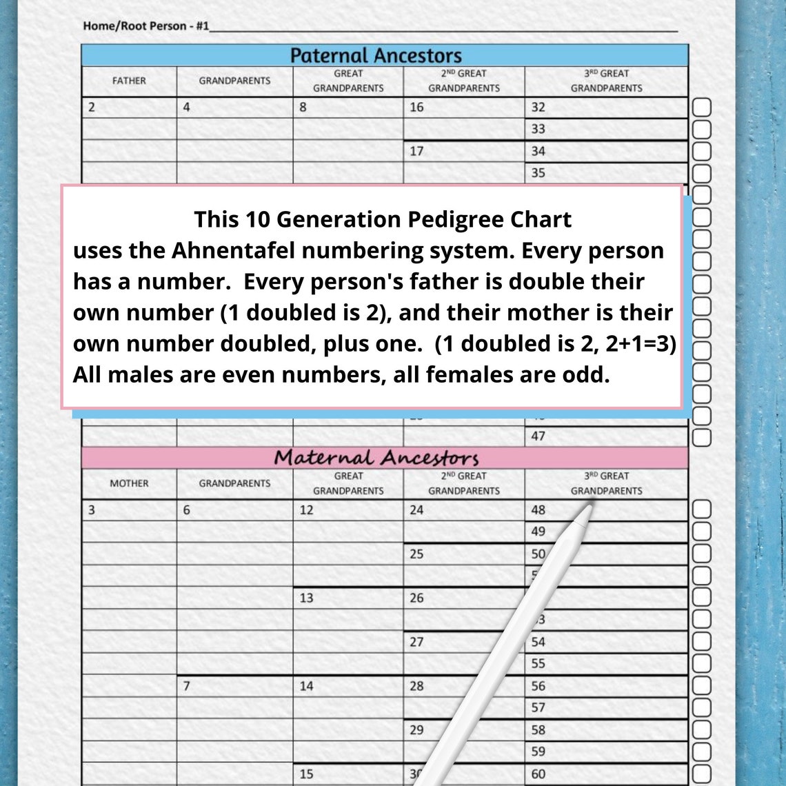 10 Generation Genealogy Chart Template: Ancestry Tracker (digital ...