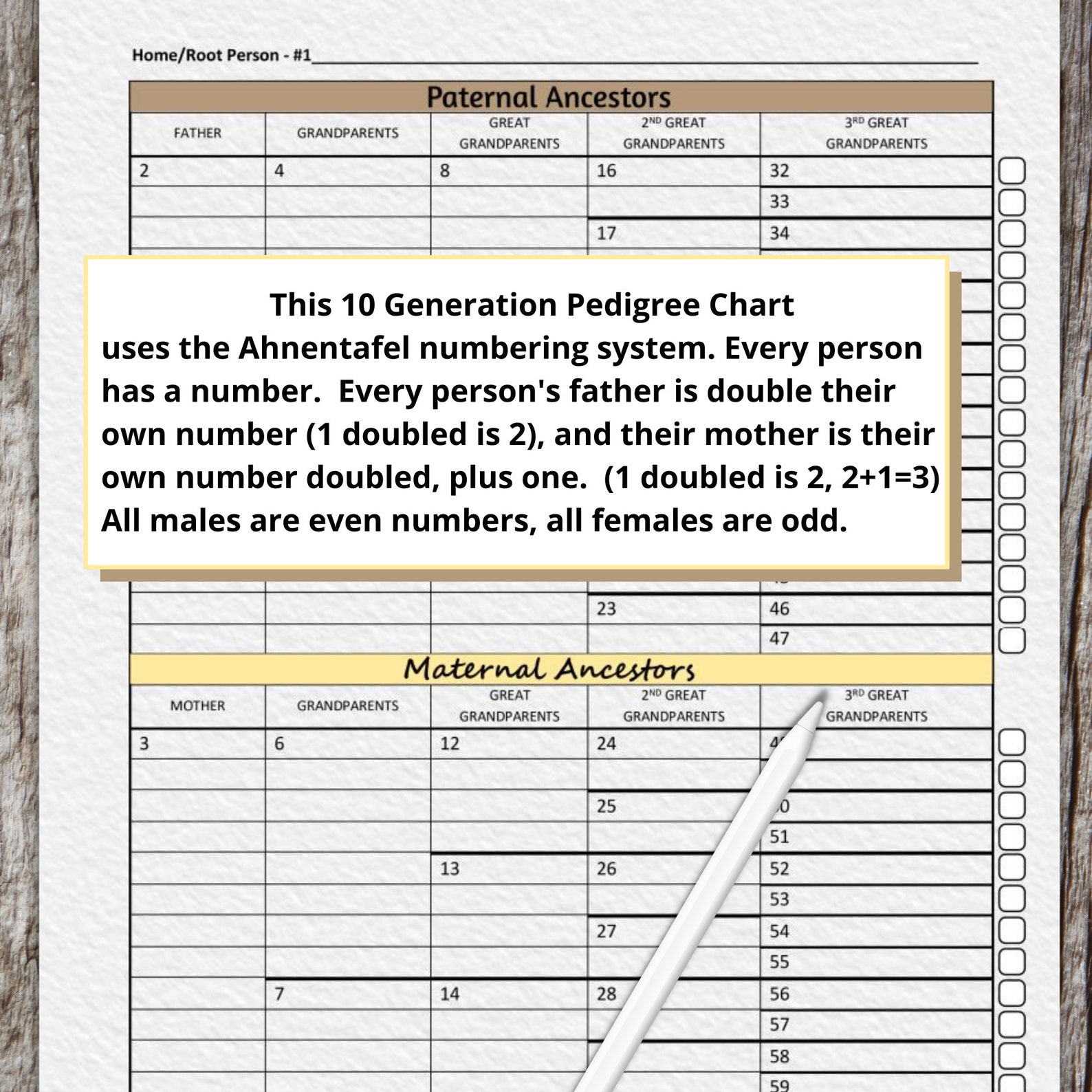 10 Generation Family Tree Chart: Genealogy Research Tracker (digital ...