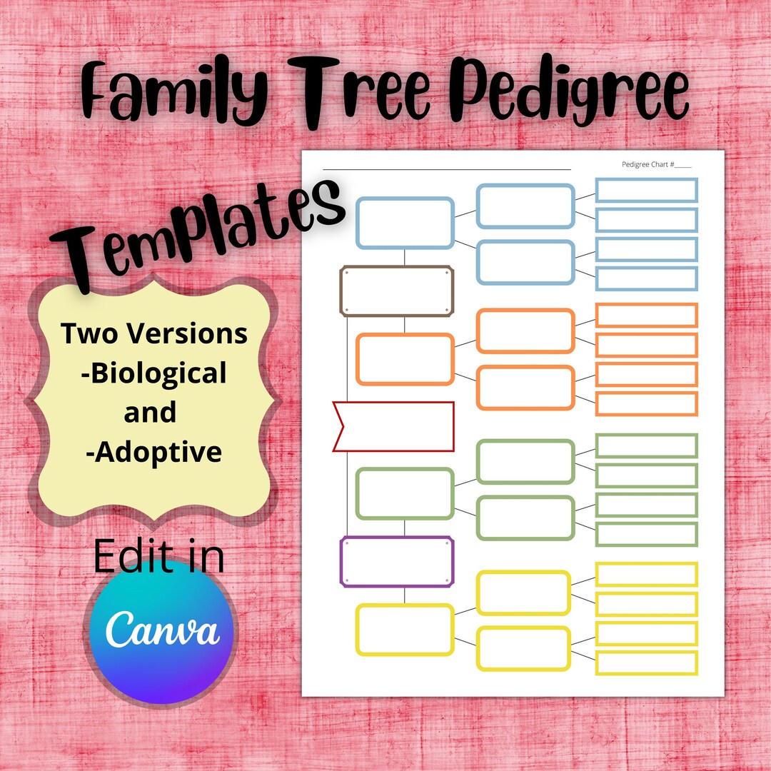 Family Tree Pedigree Chart: Editable Genealogy Template (canva) - Etsy