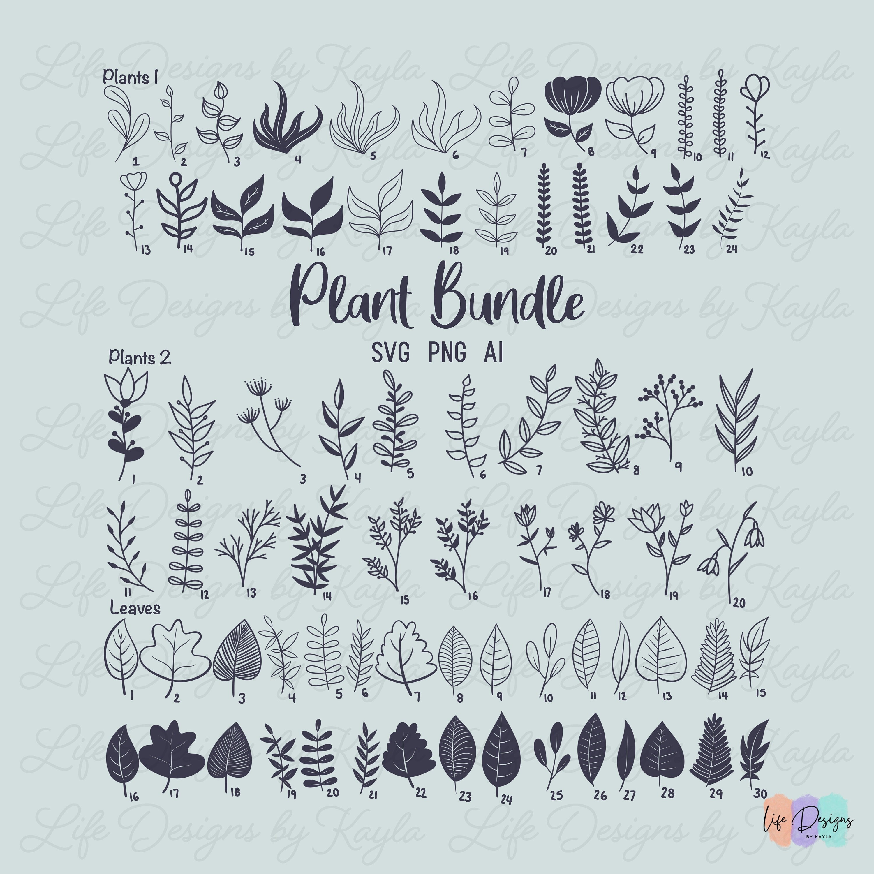 Plants SVG Bundle | 74 Plants and Leaves | Plants Clipart | Leaves PNG ...