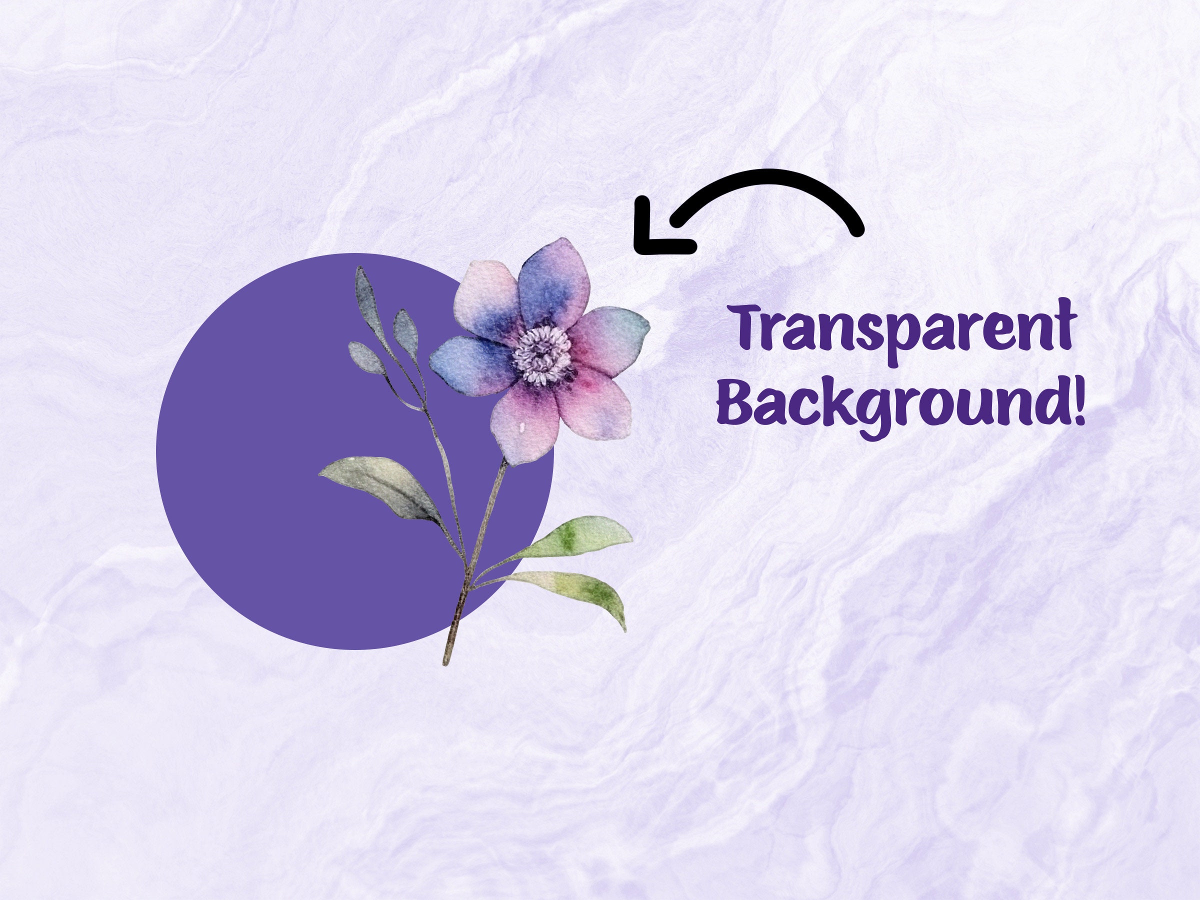 Purple Watercolor PNG Flowers Clip Art Botanicals Digital Bundle ...