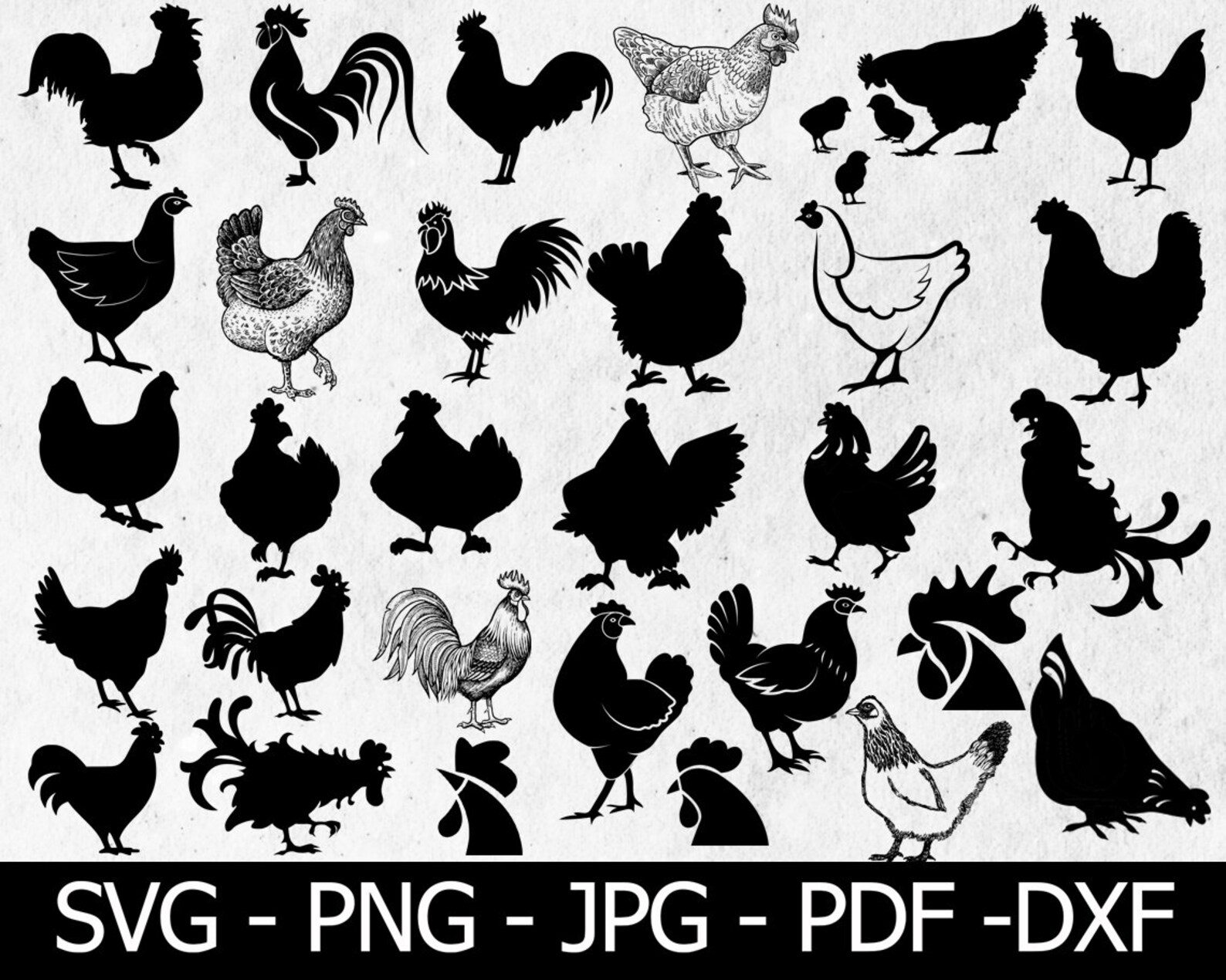 Chicken Bundle SVG, Farm Animal Svg, Rooster Svg, Hen Svg, Hand Drawn ...