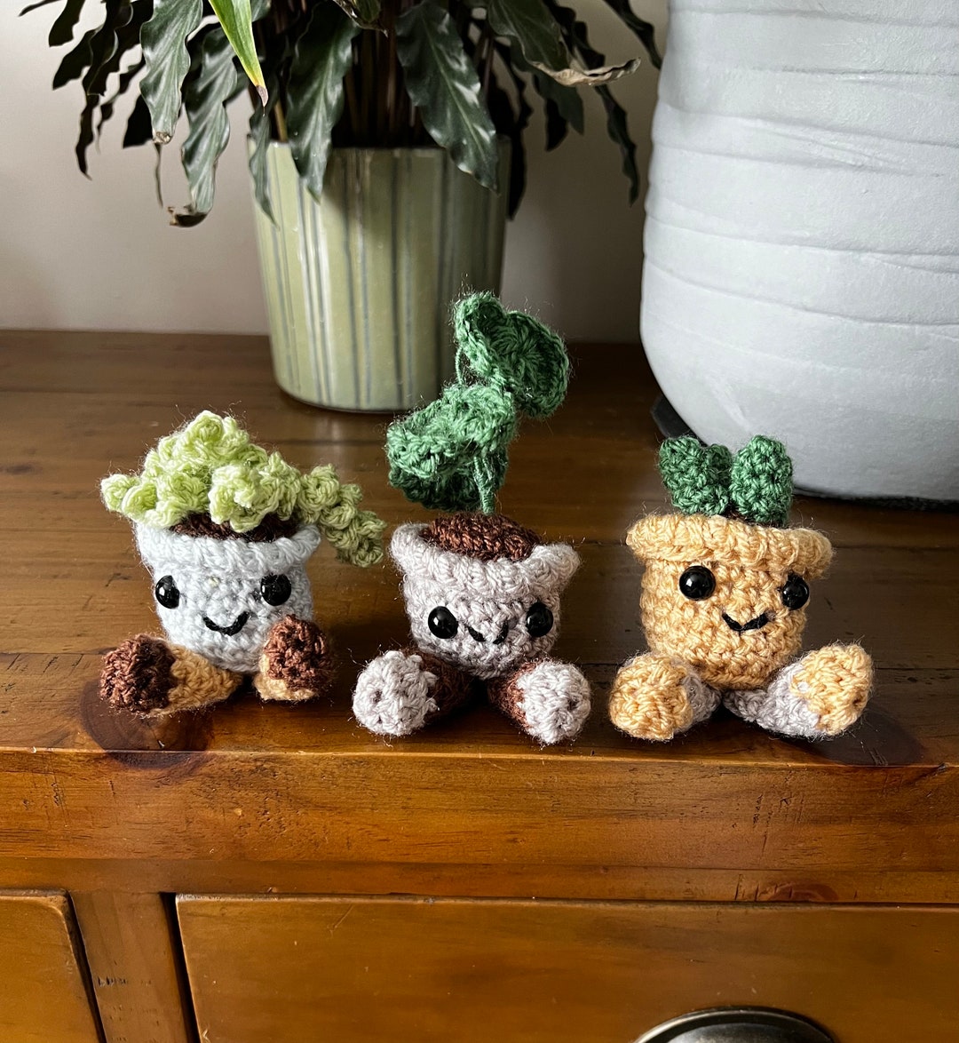 Crochet Mini Plant/ Plant Buddy/ Crochet Monstera/ Crochet Succulent ...