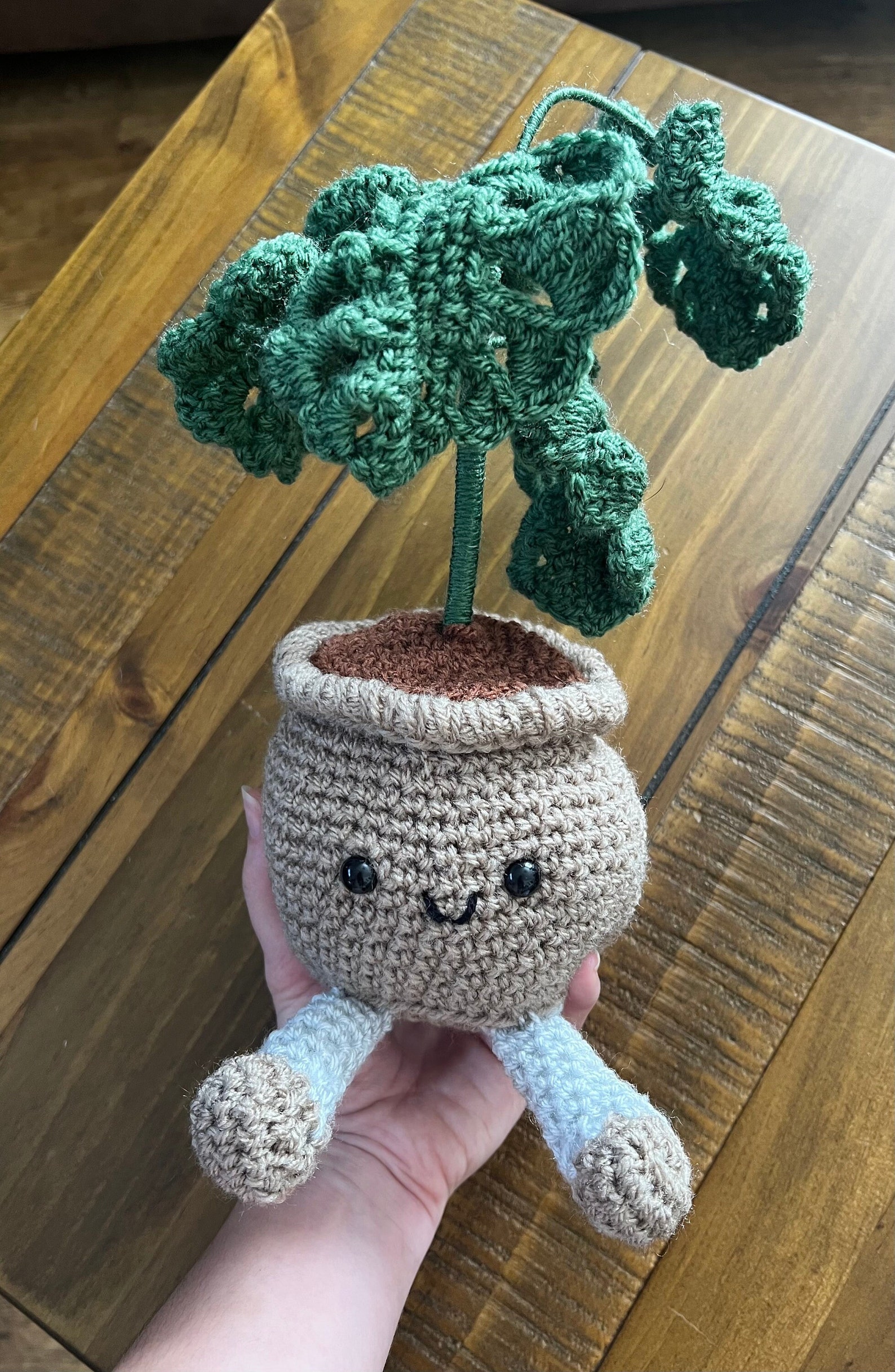 Crochet Plant Buddies/crochet Monstera/monstera/ Plant Gift/ Sedum ...