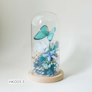 Preserved Flower Dome With LED Light: Dried Flower Arrangement - Etsy