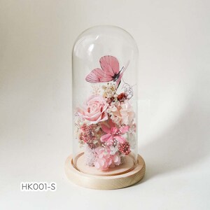 Preserved Flower Dome With LED Light: Dried Flower Arrangement - Etsy