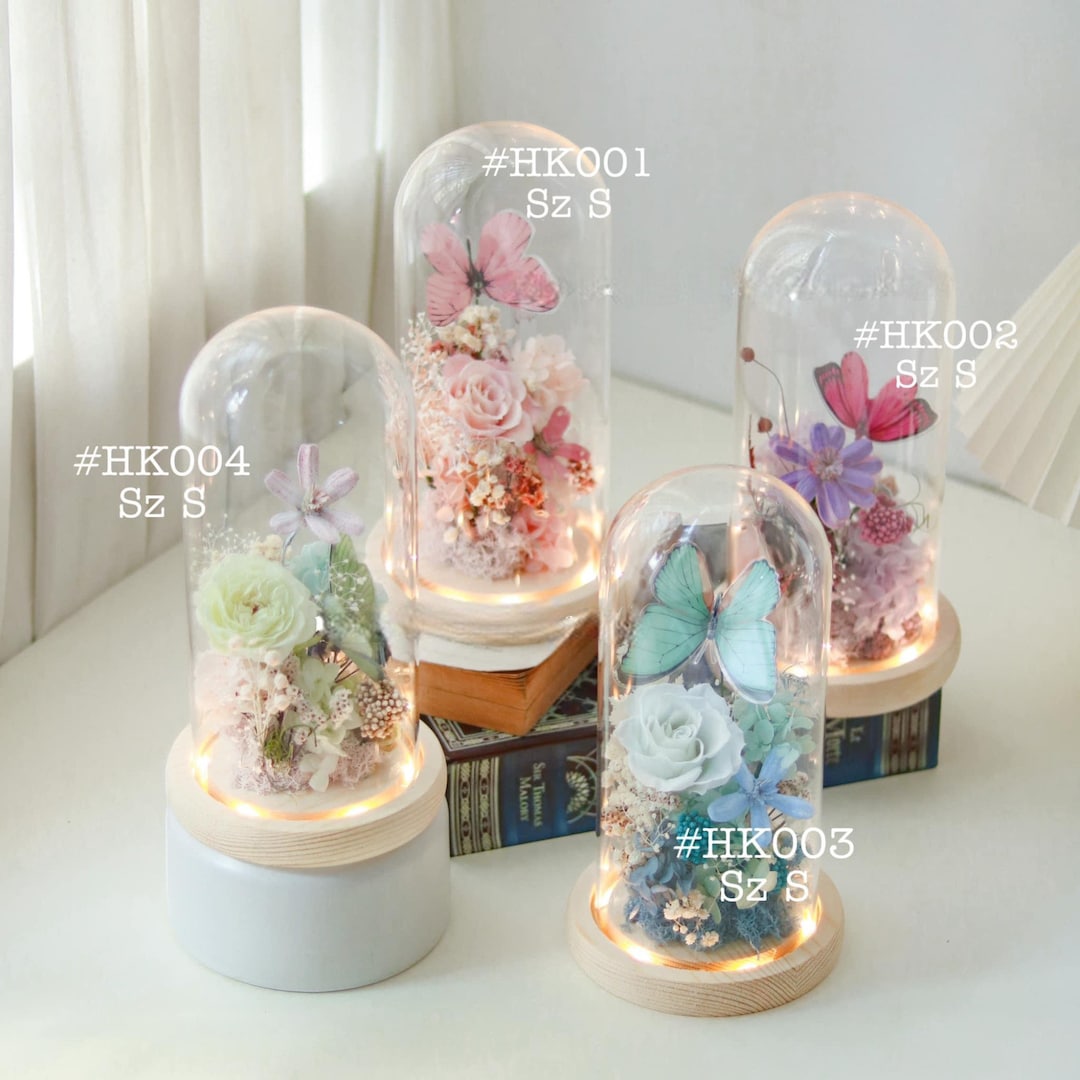 Preserved Flower Dome With LED Light: Dried Flower Arrangement - Etsy