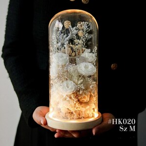 Preserved Flower Dome With LED Light: Dried Flower Arrangement - Etsy