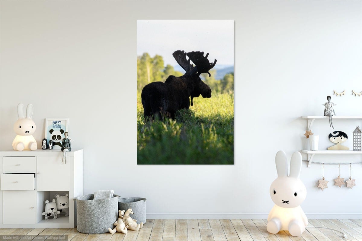 Bull Moose in Velvet Grand Teton Hoback Fine Art Print - Etsy