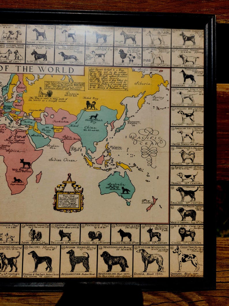 Dog Map of the World 1943 Print With David Bendann's Label - Etsy