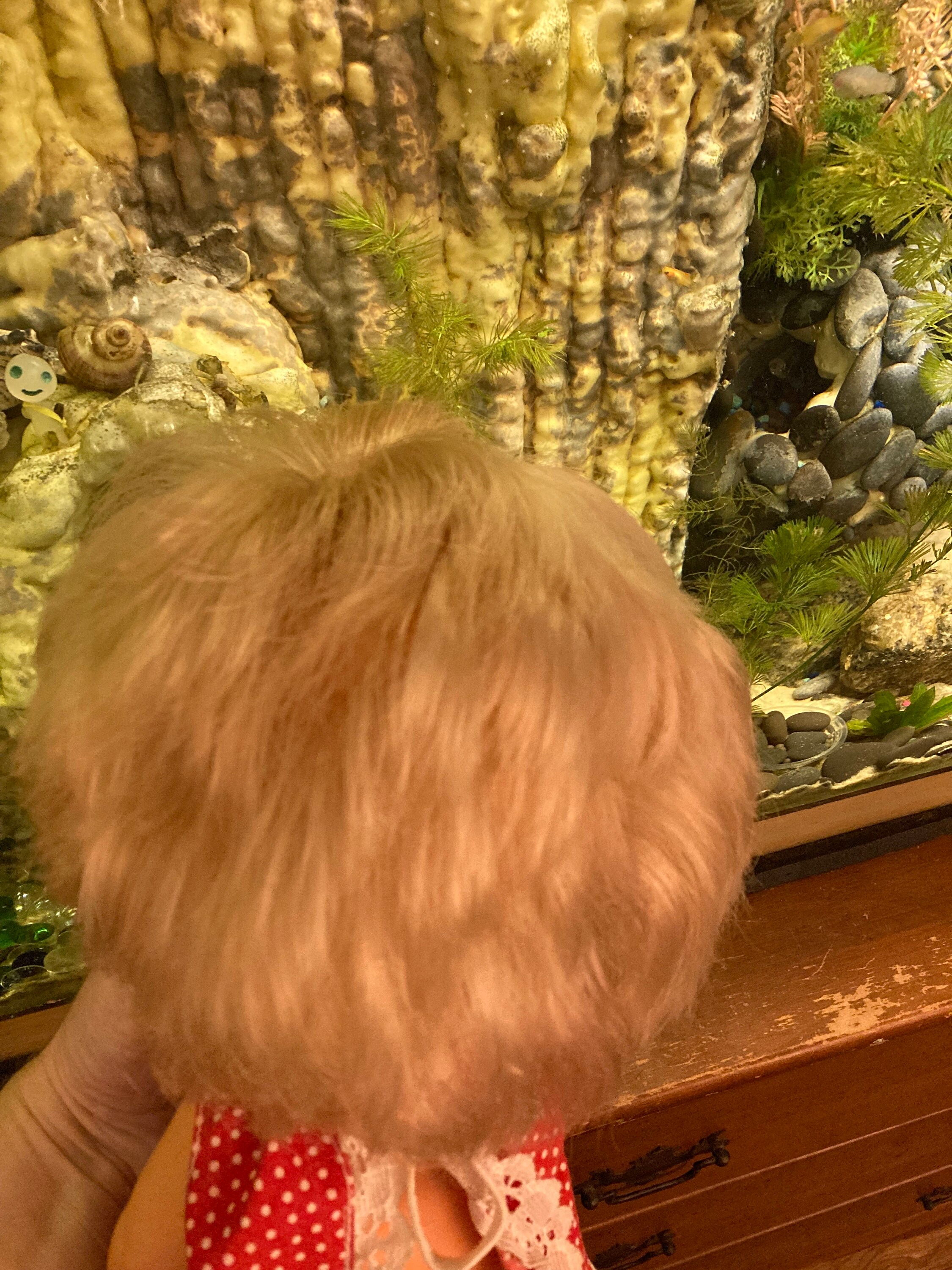 Vintage 1960s Mattel Tippee Toes Doll - Etsy