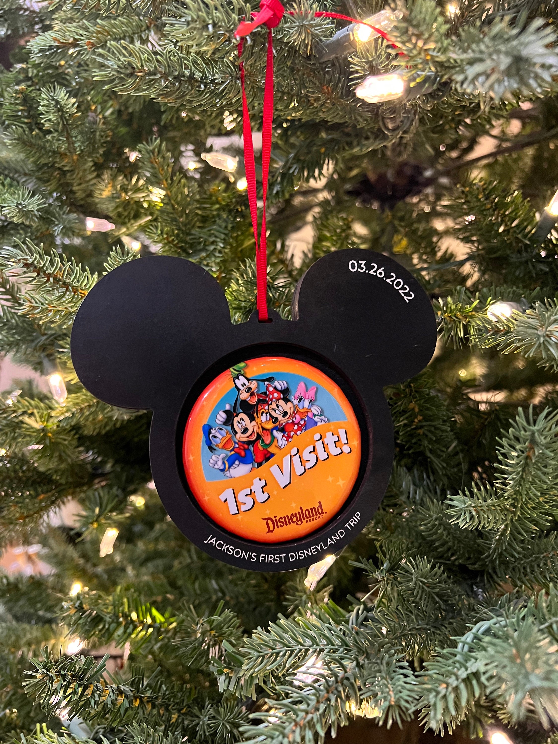Disney Celebration Button Display Ornament - Park Button Holder and ...