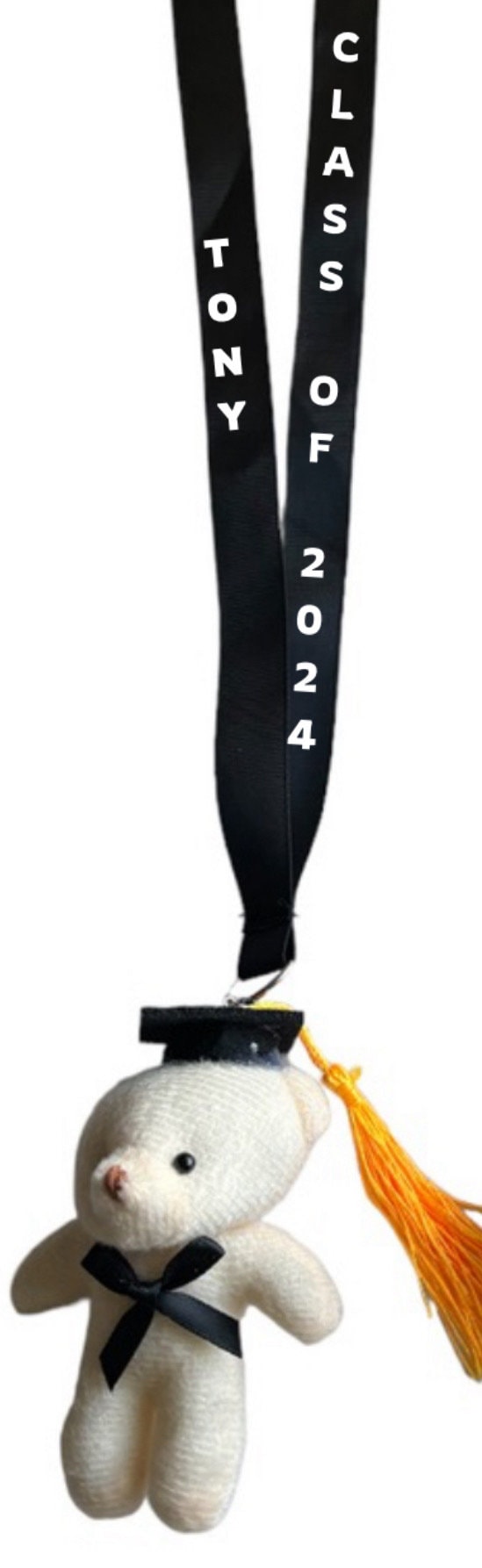 Custom Graduation Plush Teddy Bear Lanyard grad Favors graduation Class ...