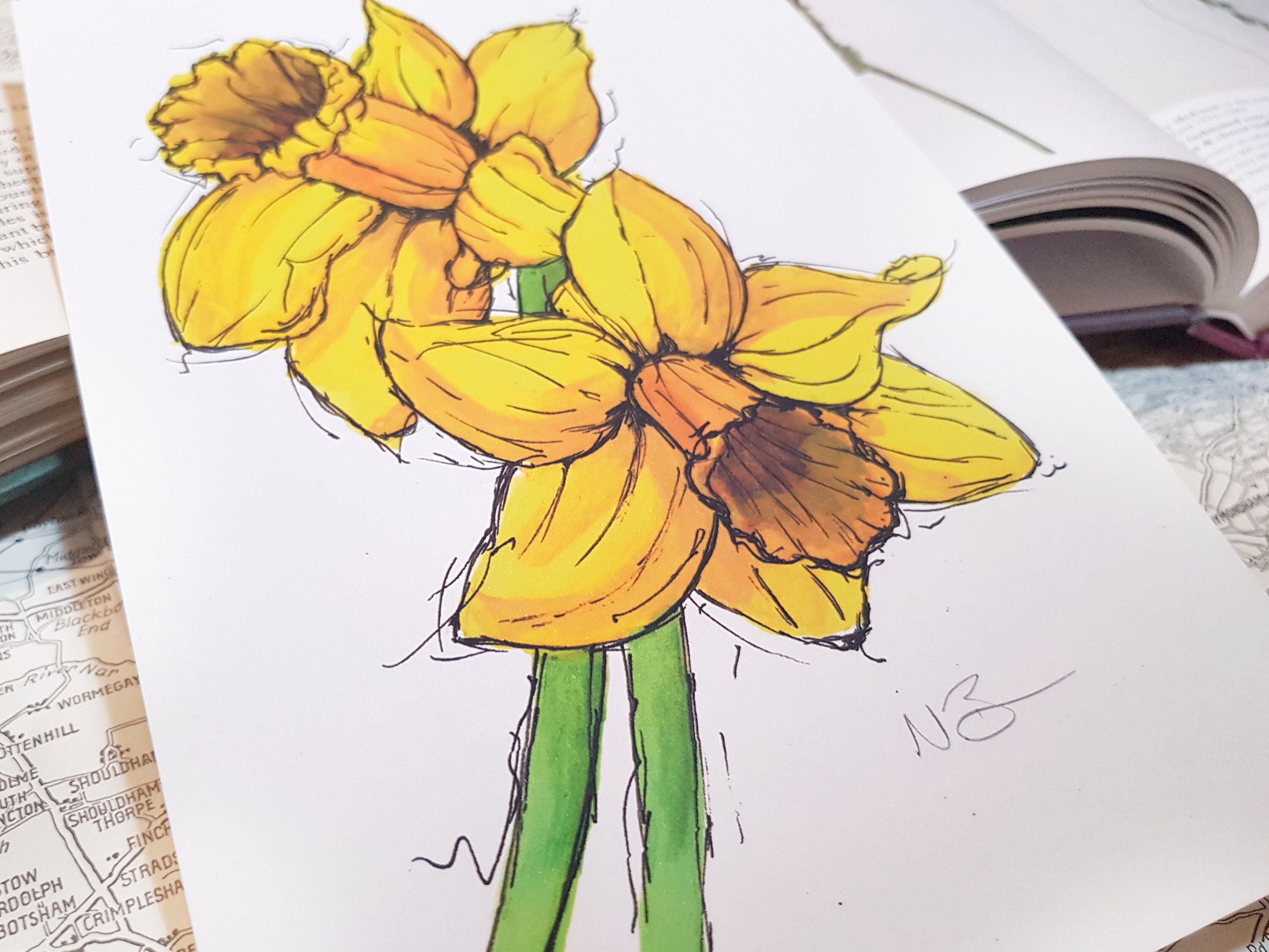 Hand-painted Watercolour Daffodils Print - Etsy