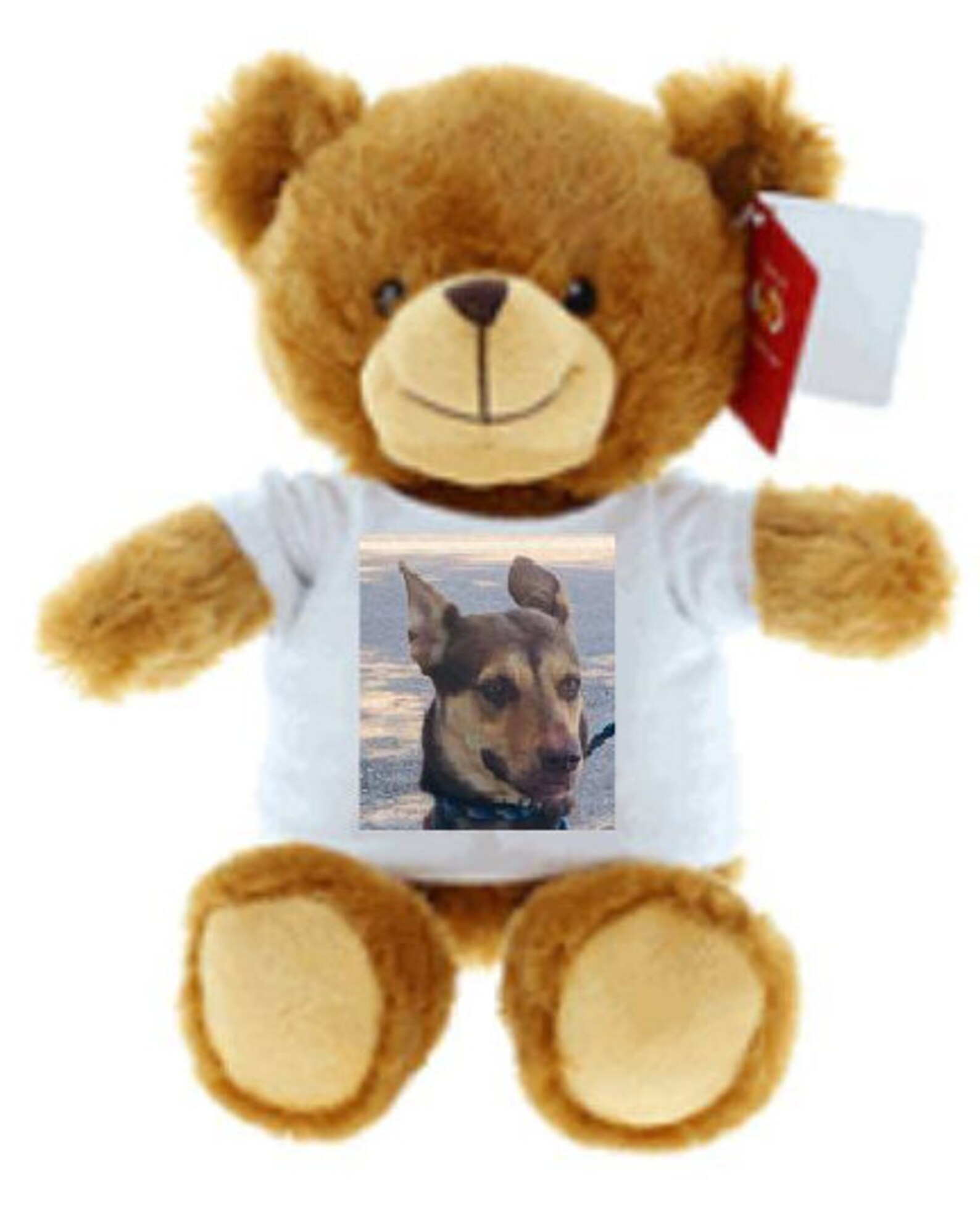 Personalized Hope Bears Send Us the Picture and We Will Add to Bear's T ...