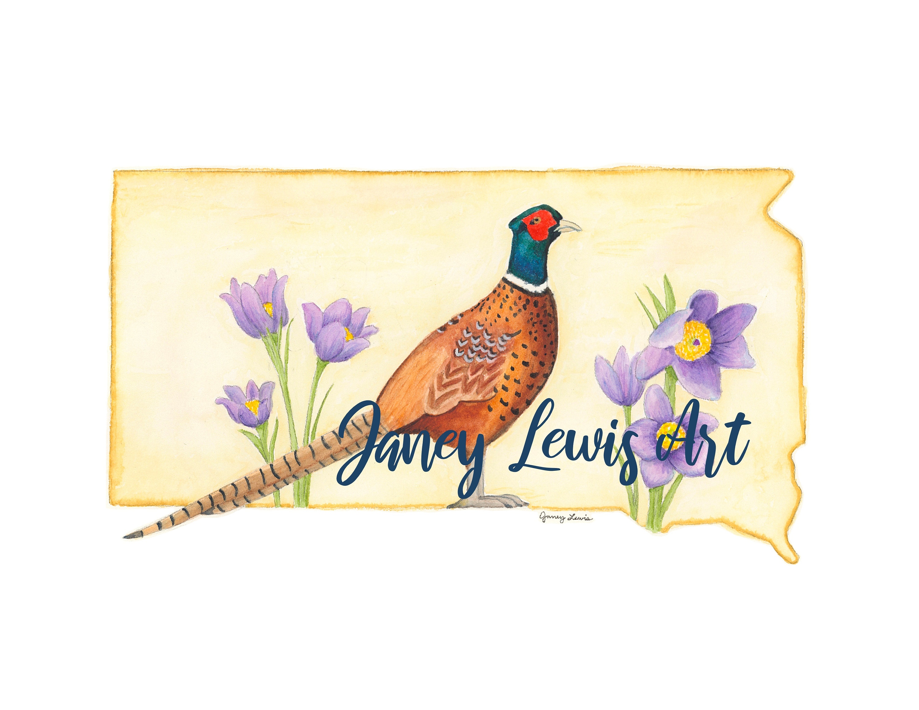 South Dakota State Bird & Flower Watercolor Art Print, Ring-necked ...