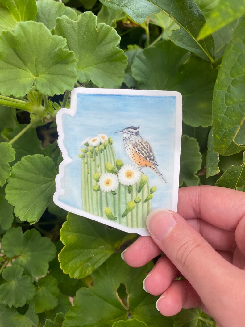 Arizona State Bird and Flower Sticker: Cactus Wren, Saguaro Blossom - Etsy