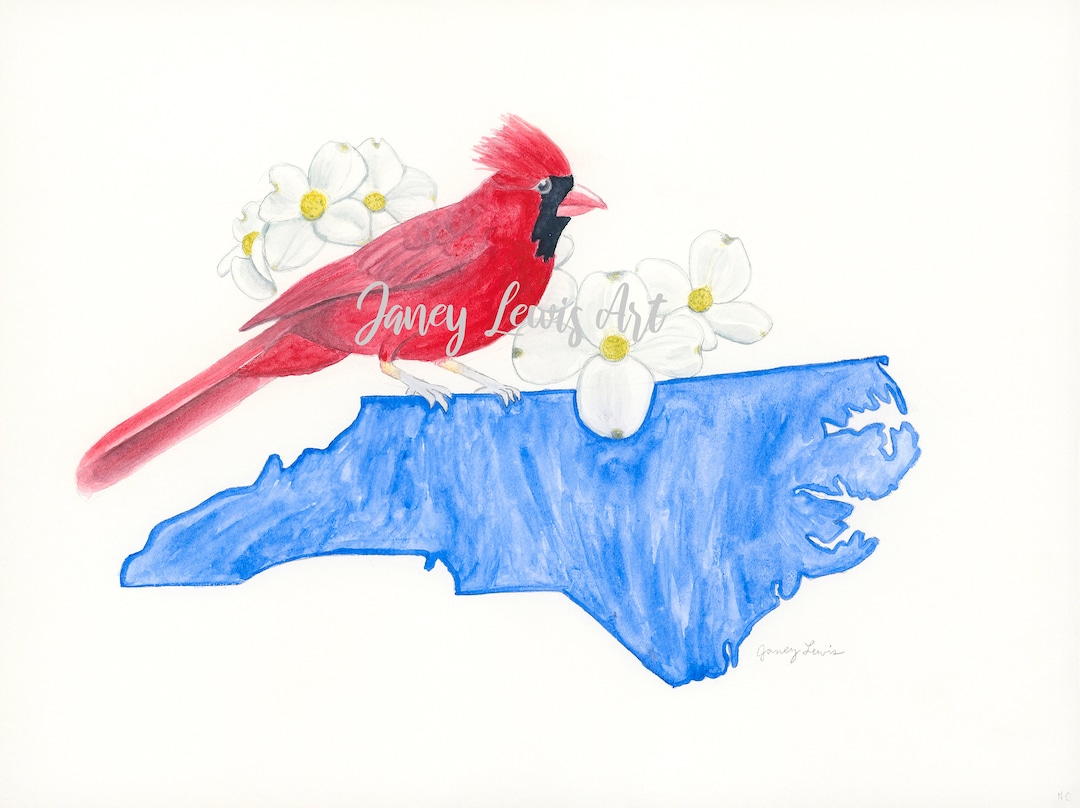 North Carolina State Bird and Flower Watercolor, Cardinal and Dogwood ...