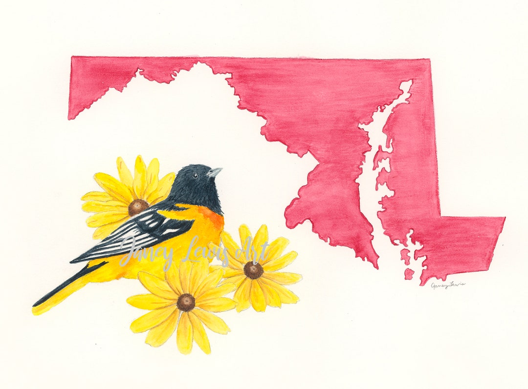Maryland State Bird and Flower Watercolor Print, Baltimore Oriole and ...