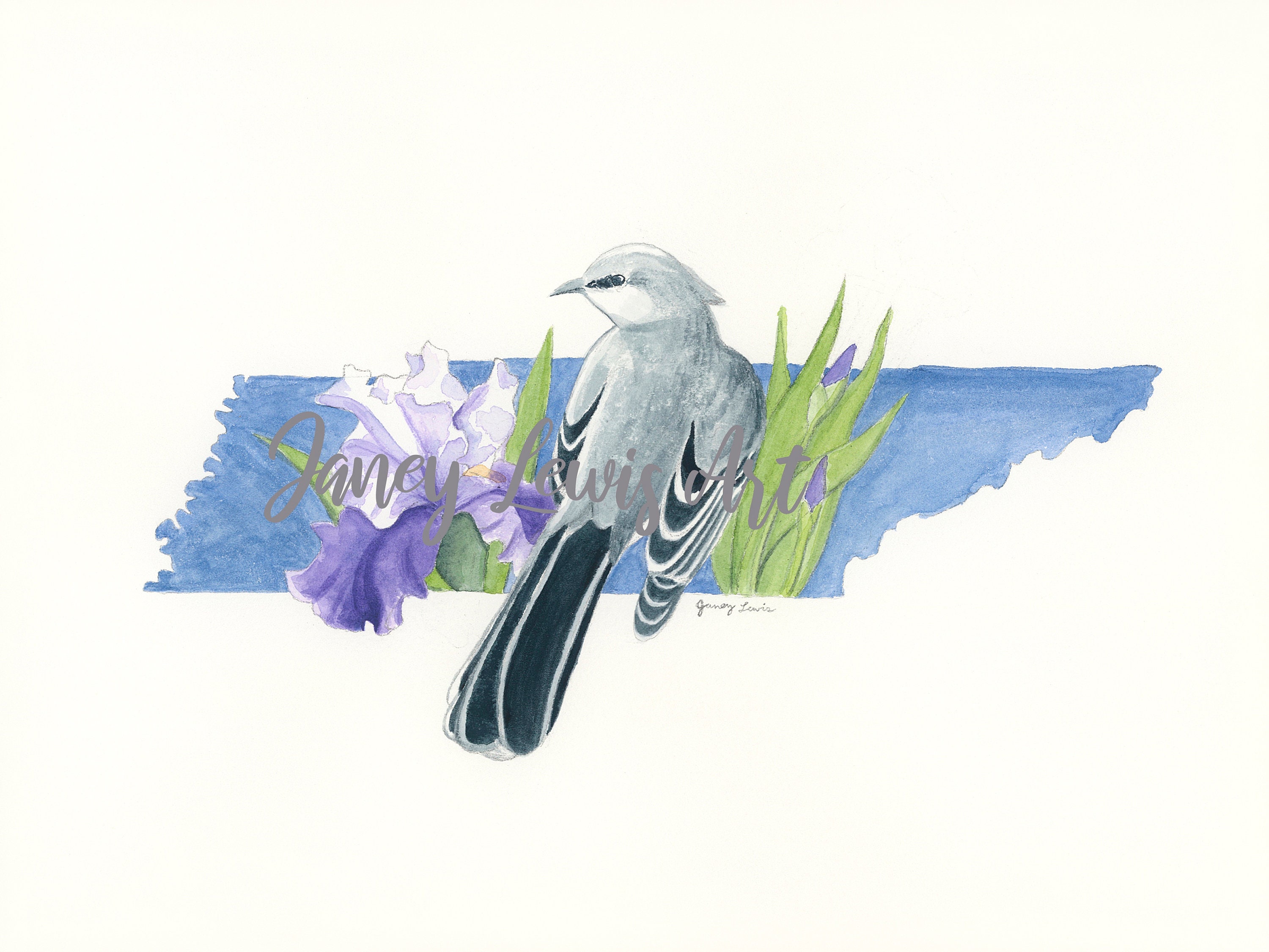 Tennessee State Bird