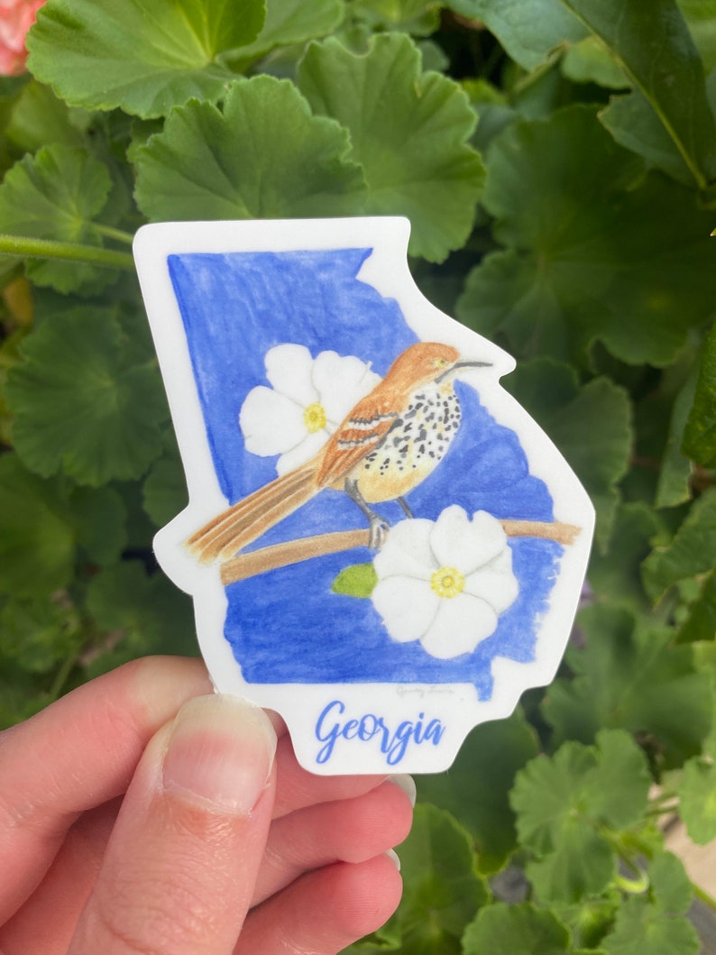 Georgia State Bird and Flower Sticker/ Brown Thrasher and Cherokee Rose ...