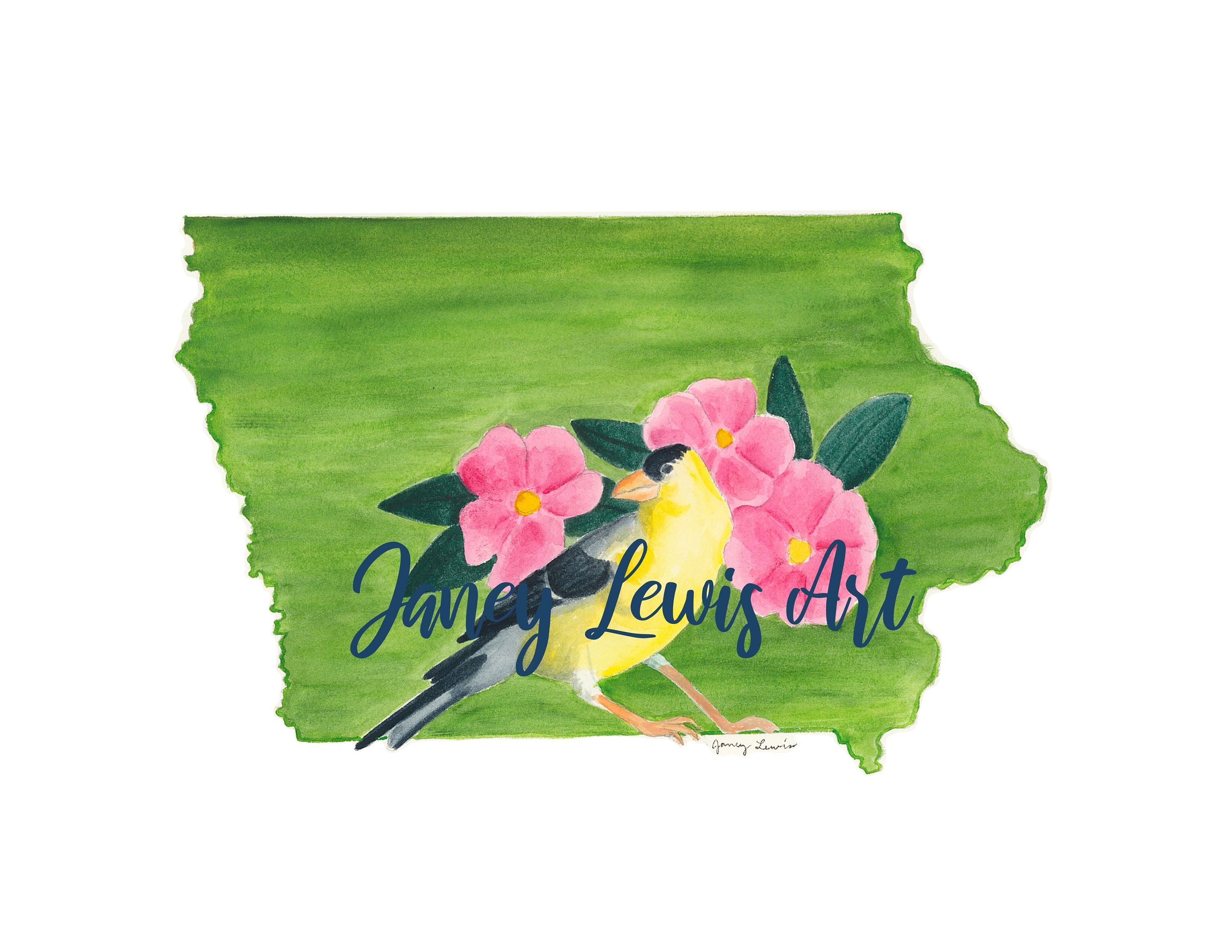 Iowa State Bird & Flower Watercolor Print, American Goldfinch and Wild ...