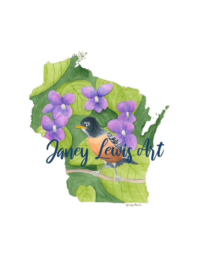 Wisconsin State Bird & Flower Watercolor Print, American Robin and Wood ...