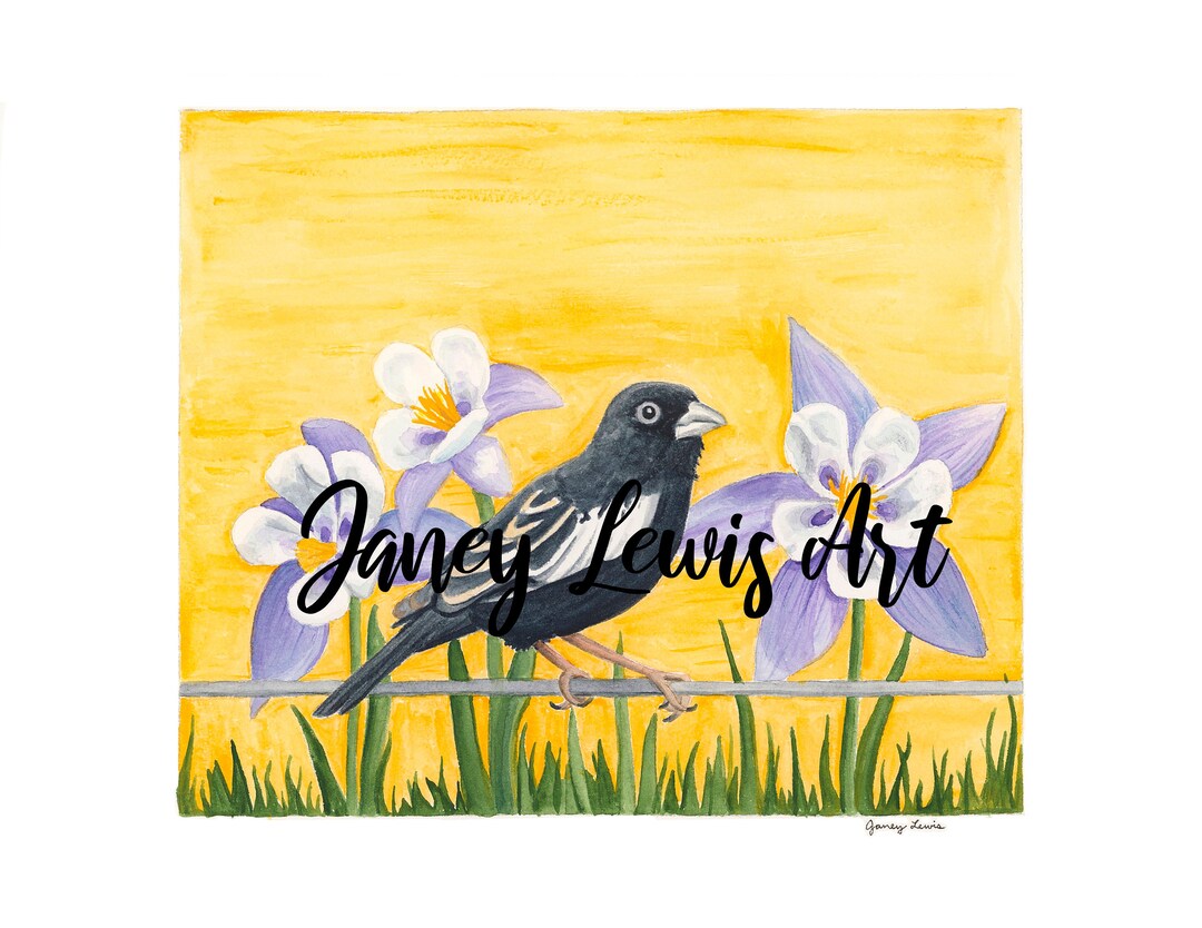 Colorado State Bird and Flower Watercolor Fine Art Print/ Lark Bunting ...